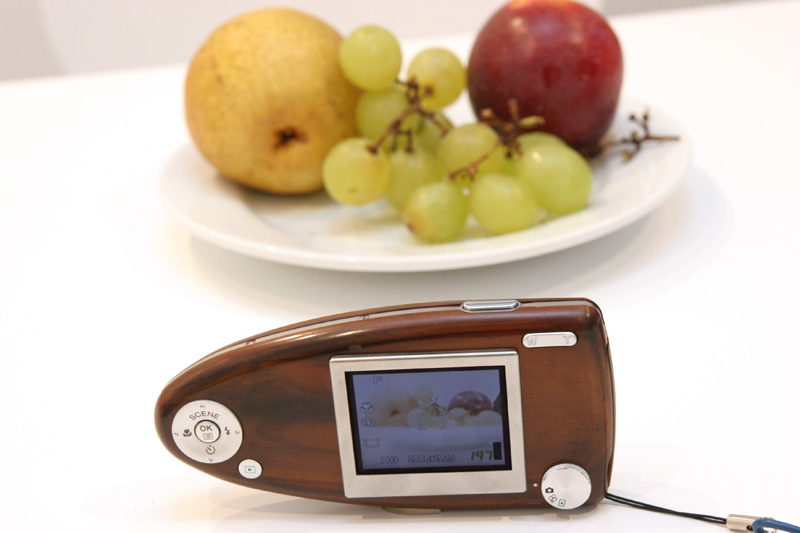 Olympus wooden camera (2006)